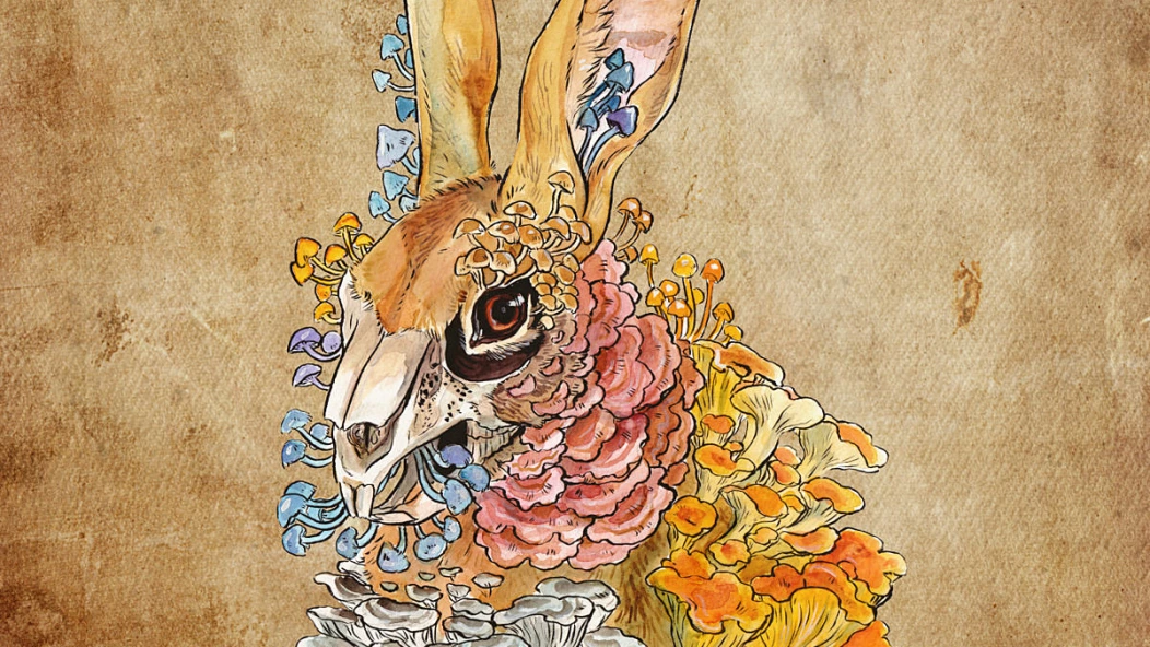 Misguiding Star: Dead Sun Rising's Post-Metal Simmers on ...