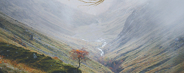 Top Albums of 2014, by Greg Majewski