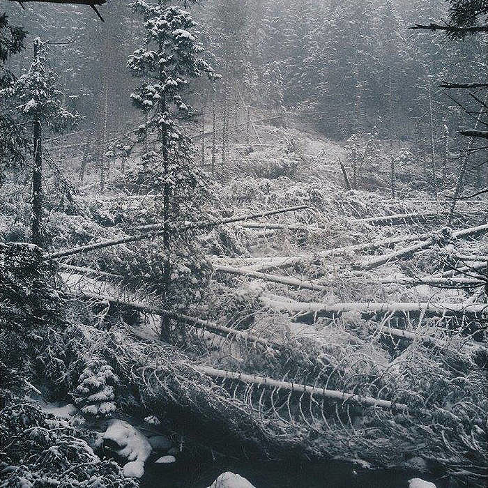 Toska - 'Toska' (Album Premiere)