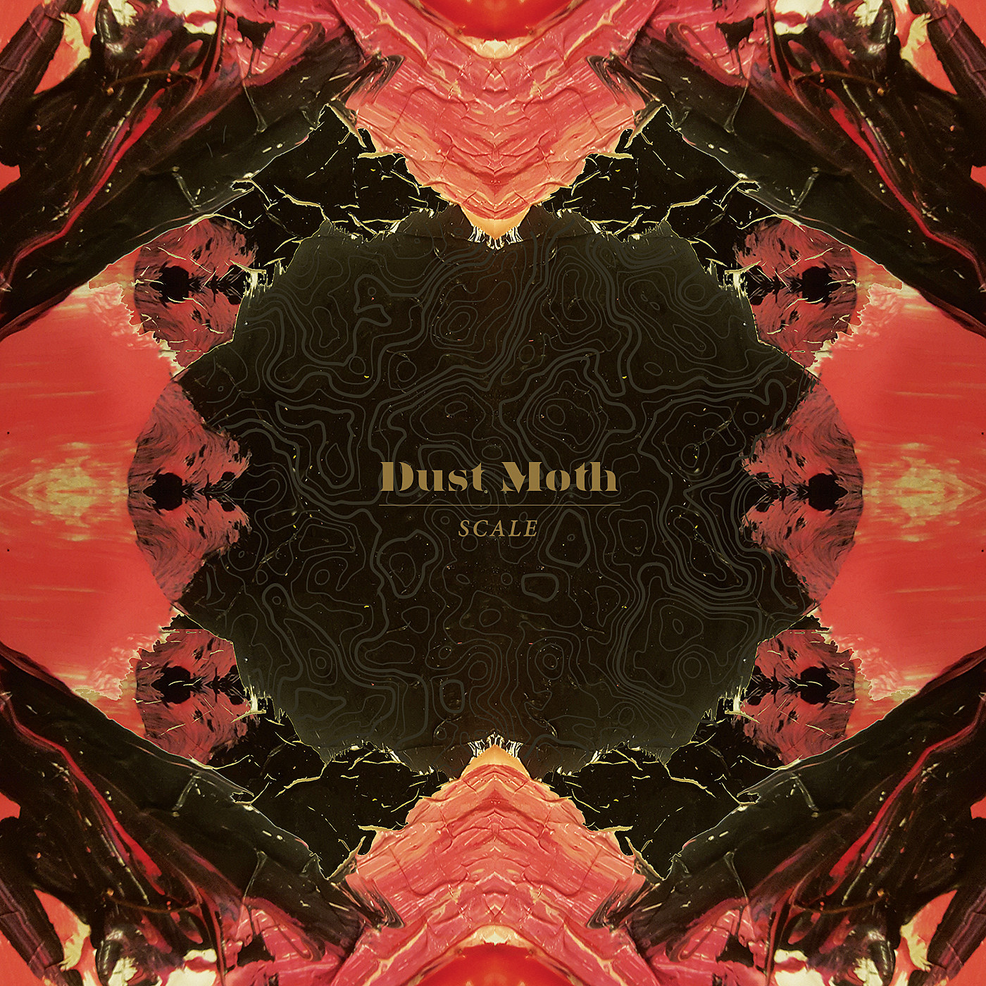 Dust Moth - 'Scale' (Album Premier)