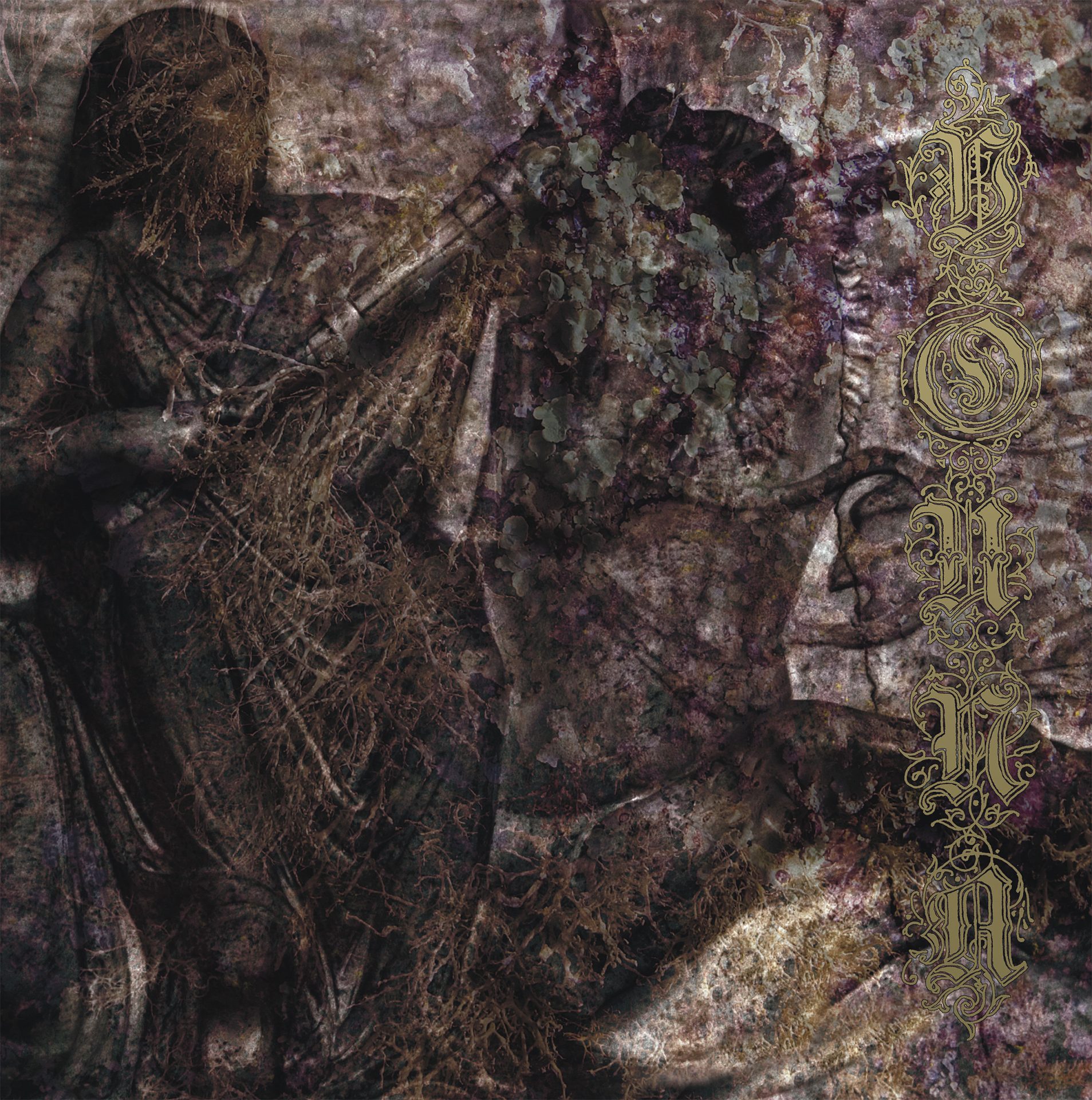 Vouna Cascades Onto the Scene with Their Self-Titled Debut