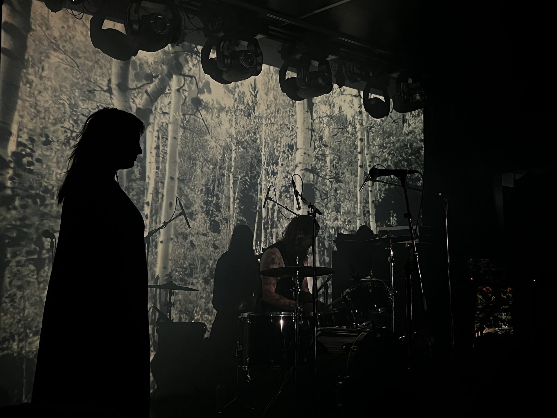 "I Don't Want to Go Home": Amplifest Weekend One Unites the Full ...