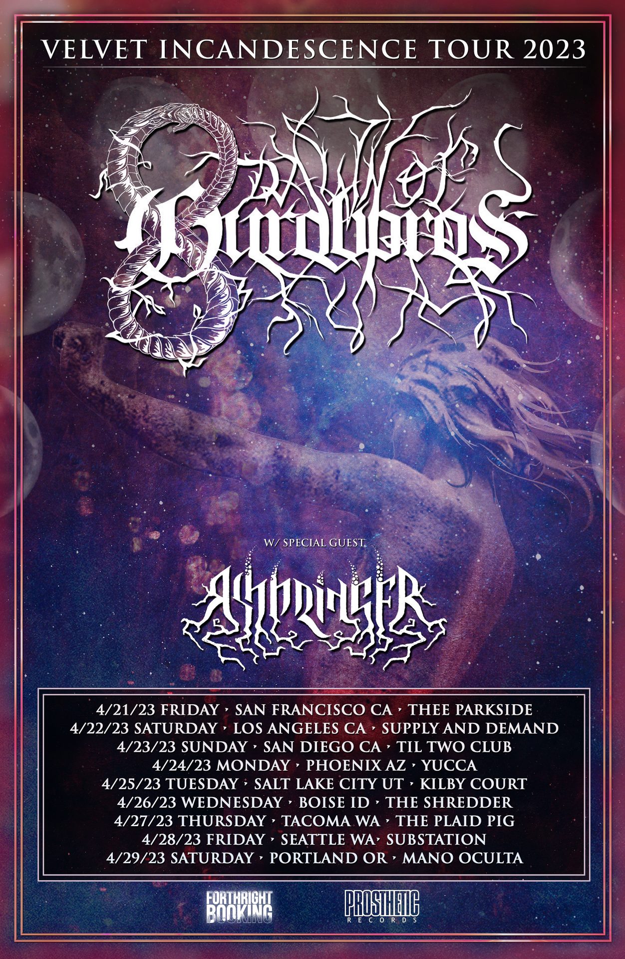 Ashbringer Deliver Ethereal Melodies on "Rain," Accompanied by an ...