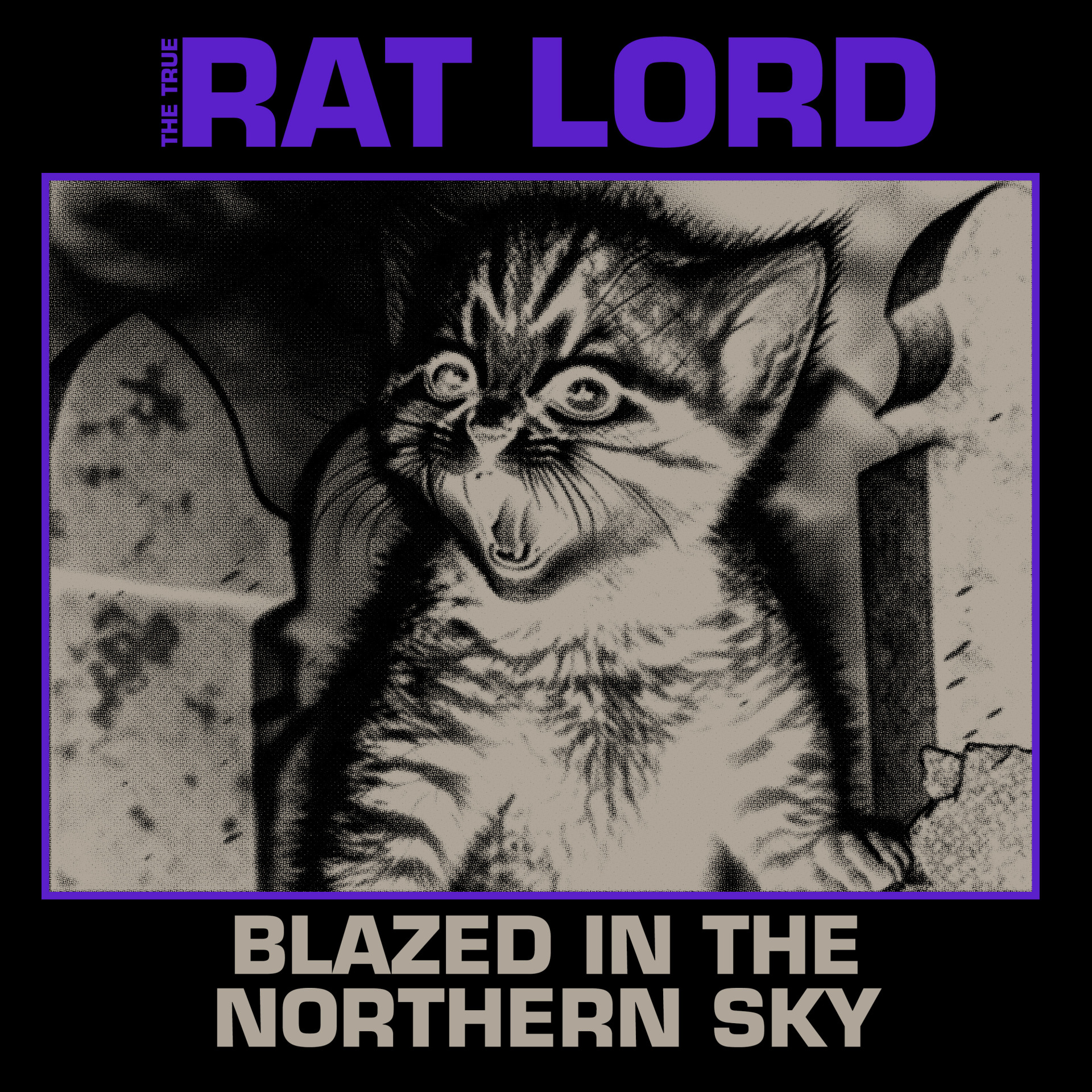 Rat Lord Keeps Grindcore Light and Breezy on "Blazed In the Northern ...